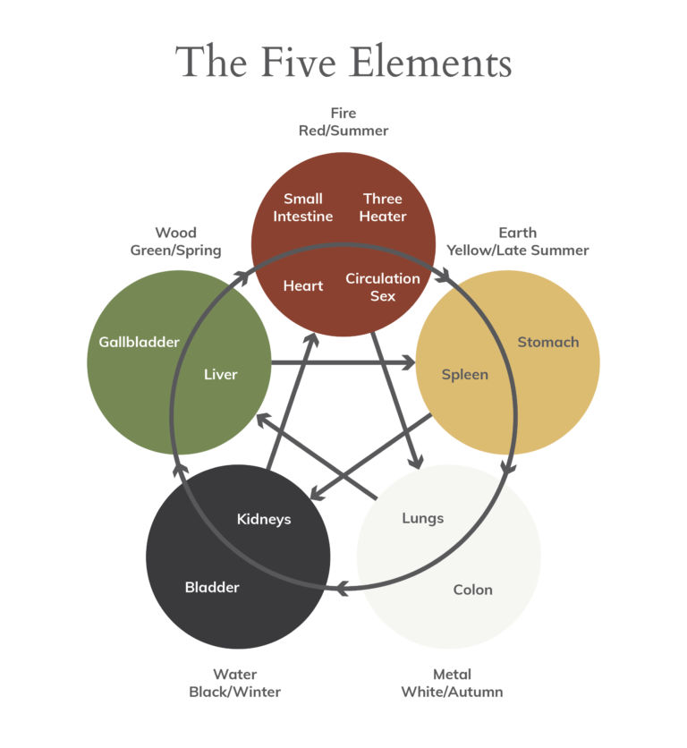 Restoring Balance Through the Twelve Meridians | PALM Health