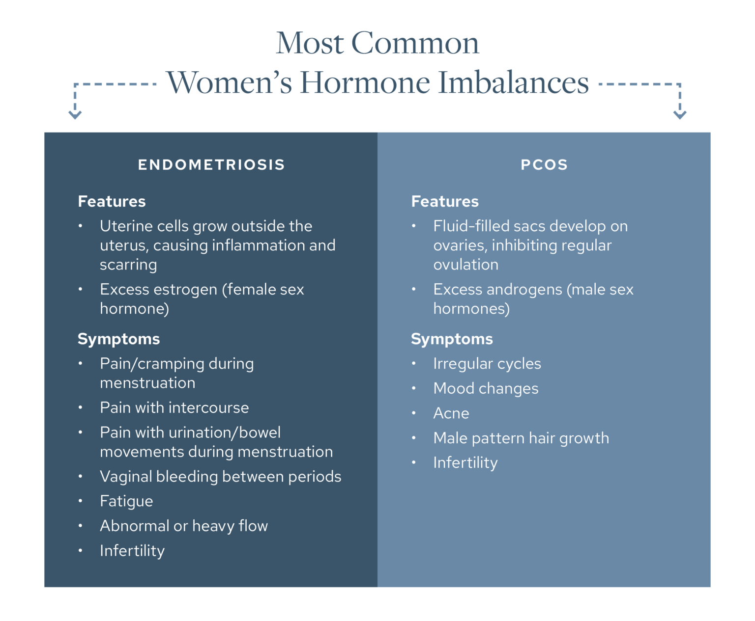 PCOS, Endometriosis, and Hormone Imbalances | PALM Health